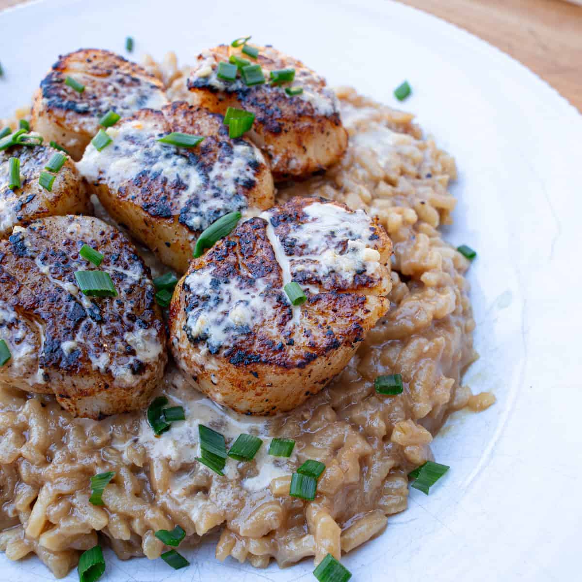 Easy Blackened Scallops with Cajun Cream Sauce On the Griddle - The ...